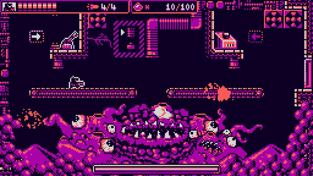 BIOTA - Análisis - Orden del Pixel